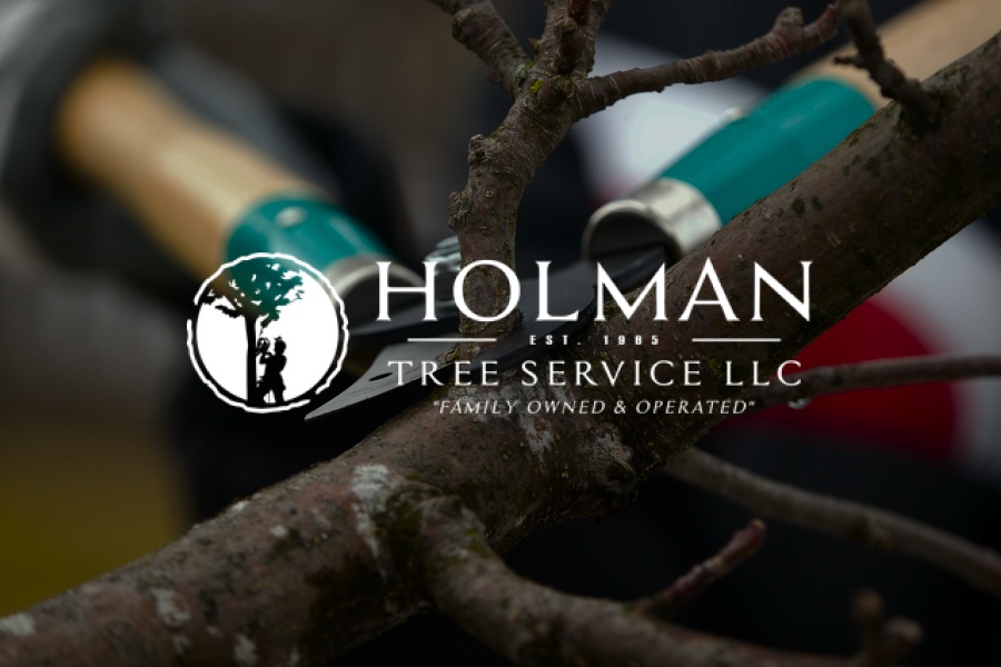 Tree Service Clinton, OK | Free Estimates! | Holman Tree Service