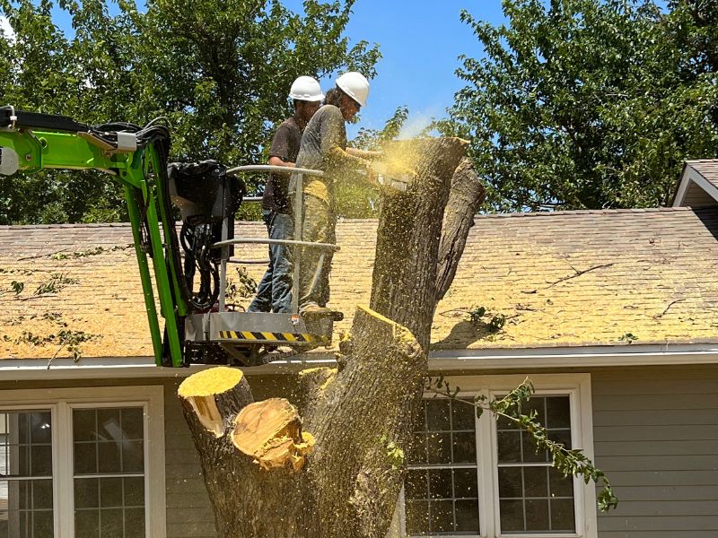 Storm Damage Clean Up Clinton, OK | We Offer Free Estimates!